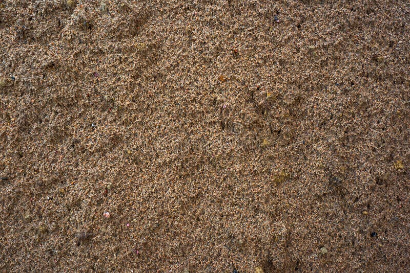 Raw dirty industrial sand stock photo. Image of detail - 134975234