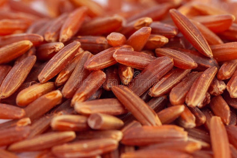 Texture of Raw Long Grains of Red Rice, Food Stock Image - Image of ...
