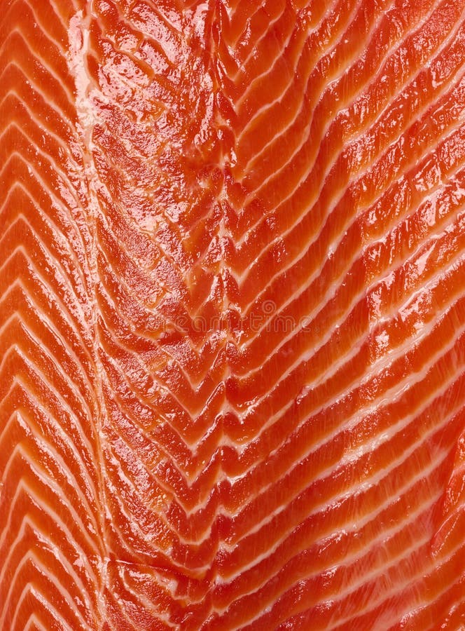 Texture of Raw Trout Fillet, Top View Stock Image - Image of fish ...