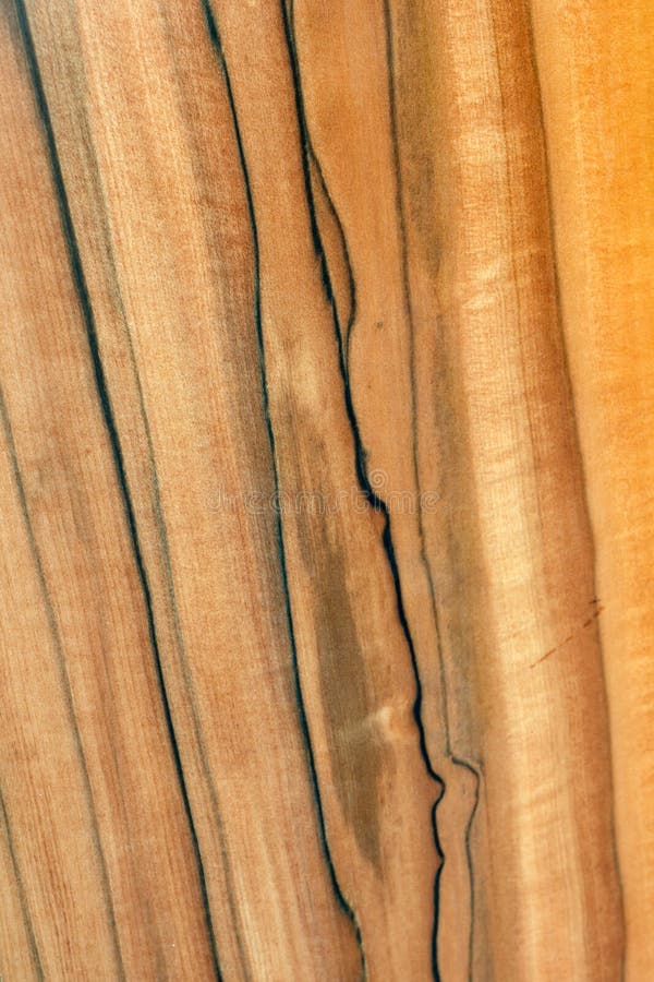 Real wood grain texture stock photo. Image of high, cellulose - 30841088