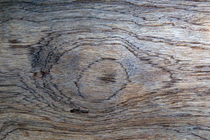 Texture of the Real Wood from Tree Stock Photo - Image of grunge ...