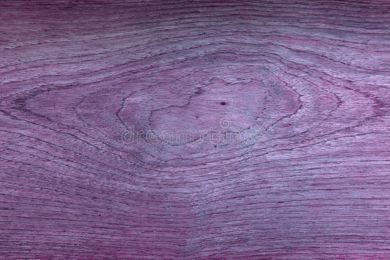 Texture of the Real Wood from Tree Stock Photo - Image of color, nature ...