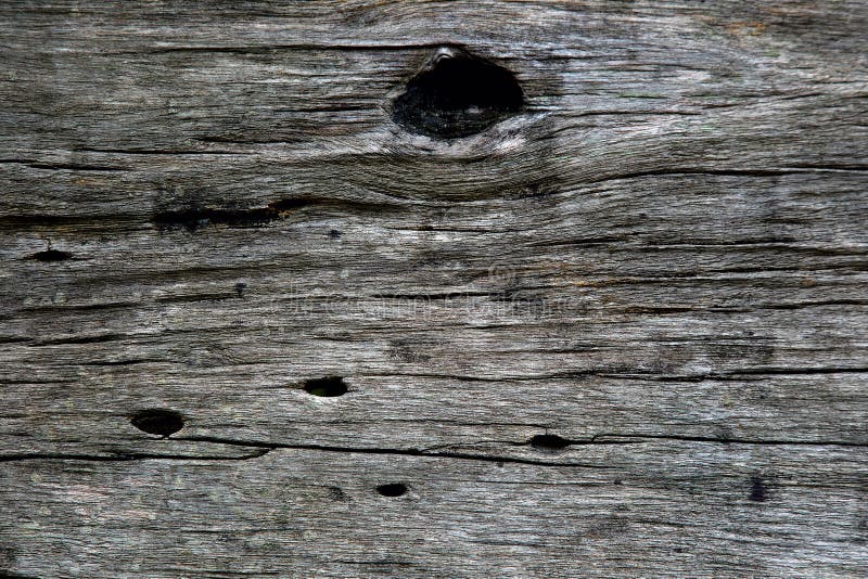 Texture of the Real Wood from Tree Stock Image - Image of classic ...