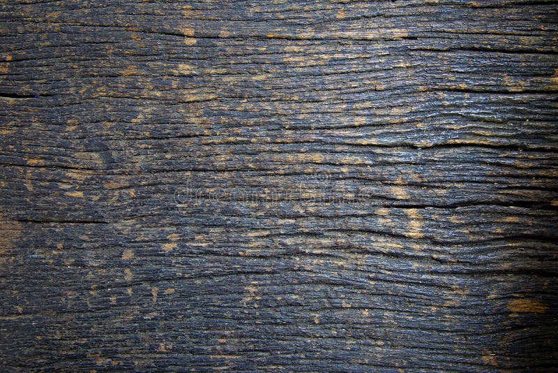 Texture of the Real Wood from Tree Stock Photo - Image of grunge, panel ...
