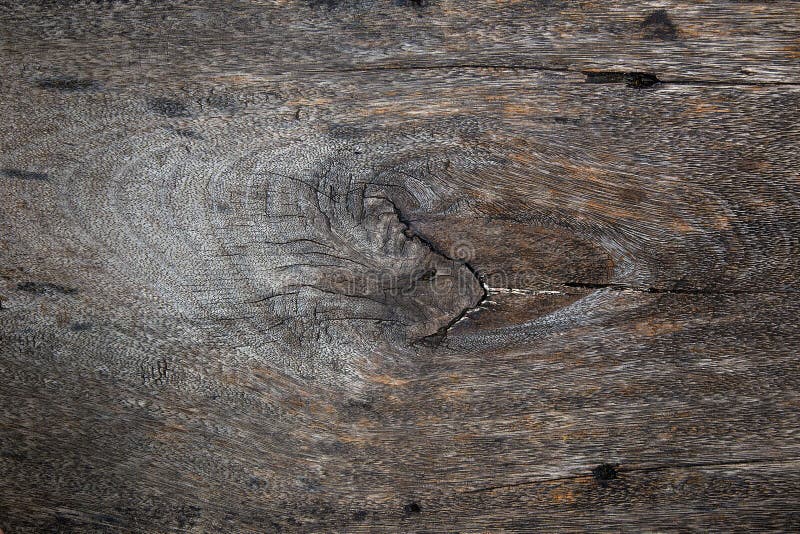 Texture of the Real Wood from Tree Stock Image - Image of design, brown ...