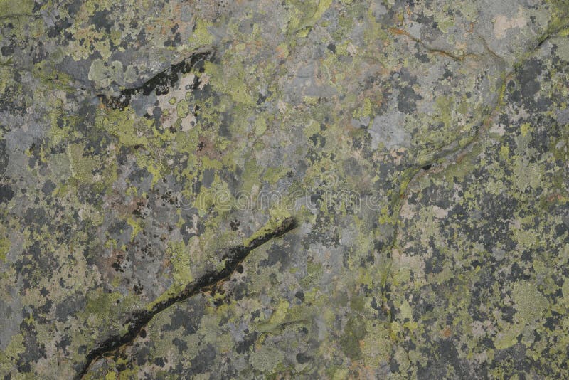 Texture Realistic Background 3d Rendering Stock Illustration ...