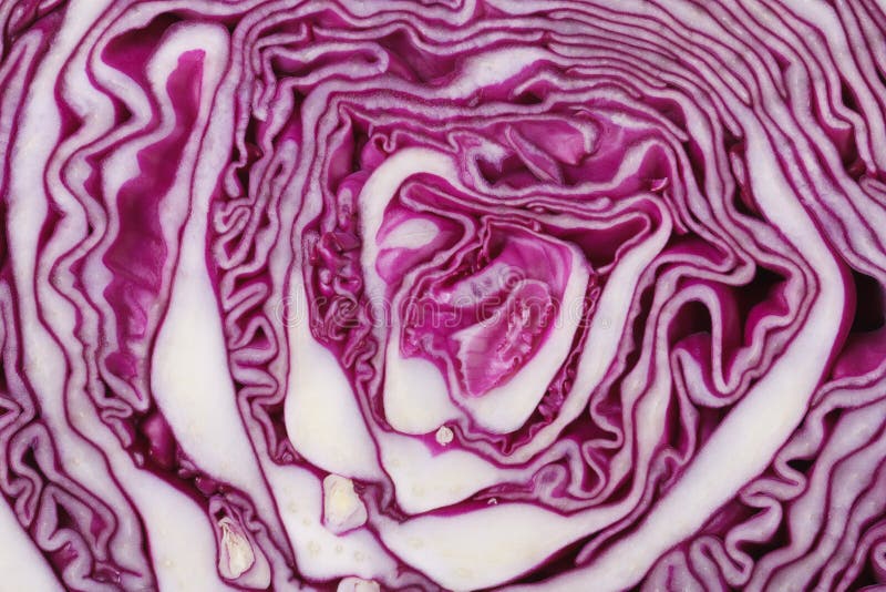 Texture of Red Cabbage Close Up. Stock Image - Image of head, life ...