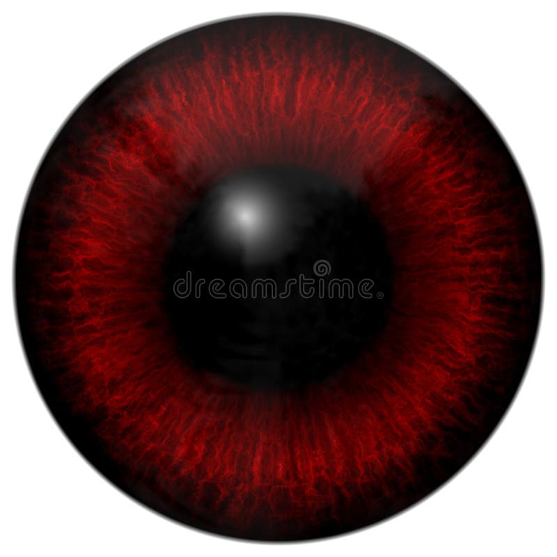 Red Eye Texture With White Background Stock Illustration - Illustration ...