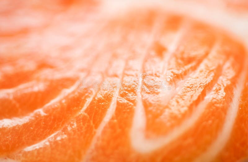 Texture of red fish stock image. Image of orange, fillet - 24717309