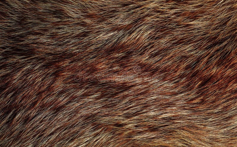 Texture of fox fur stock photo. Image of fluffy, mink - 111050188