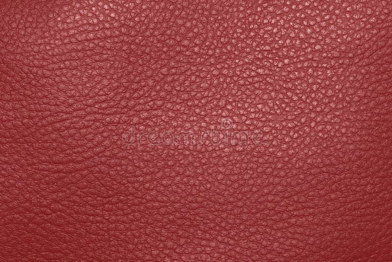 Texture of Red Genuine Leather. Stock Image - Image of real, abstract ...