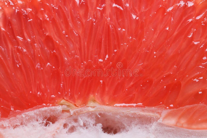 Macro Food Collection - Grapefruit Texture Stock Photo - Image of ...
