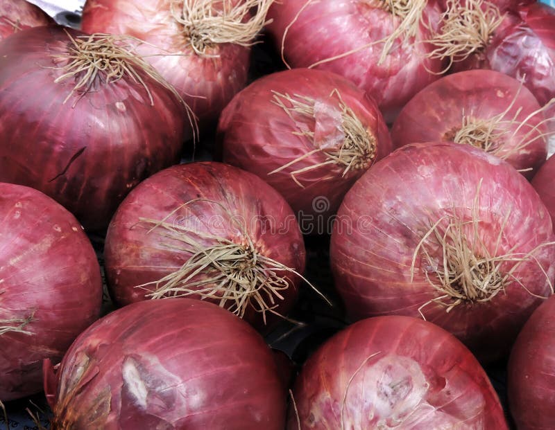 Texture of red onions stock photo. Image of vitamin - 263384648