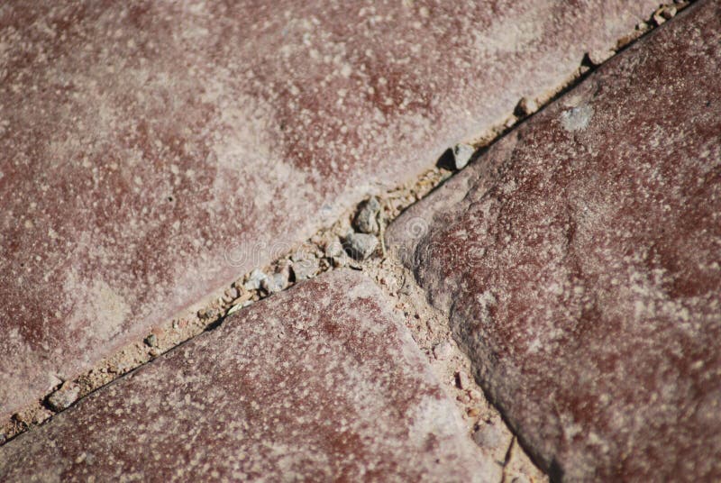Texture of Red Paving Stone Stock Photo - Image of surface, closeup ...