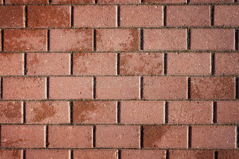 Texture of Red Paving Tiles Stock Photo - Image of road, footpath ...