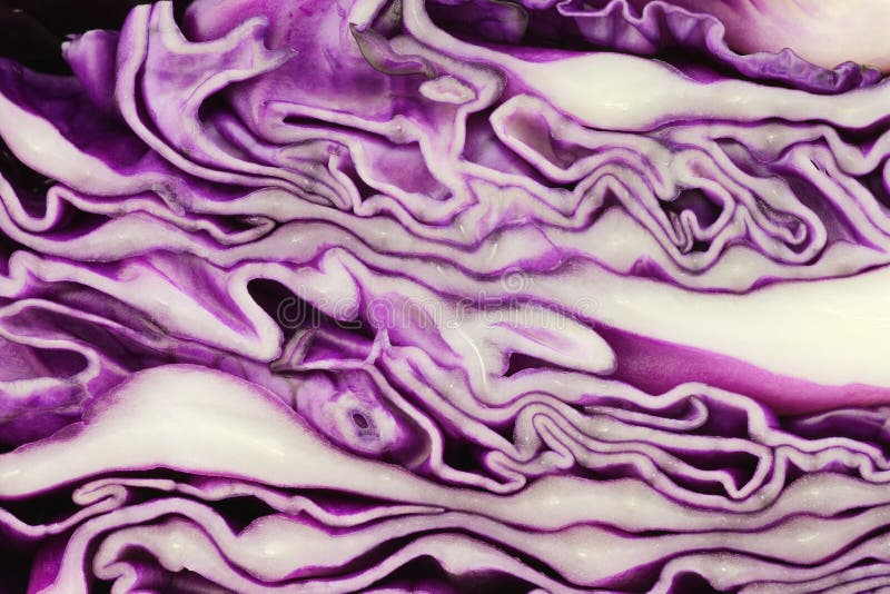 Texture of a Red Pointed Cabbage Stock Photo - Image of cooking ...