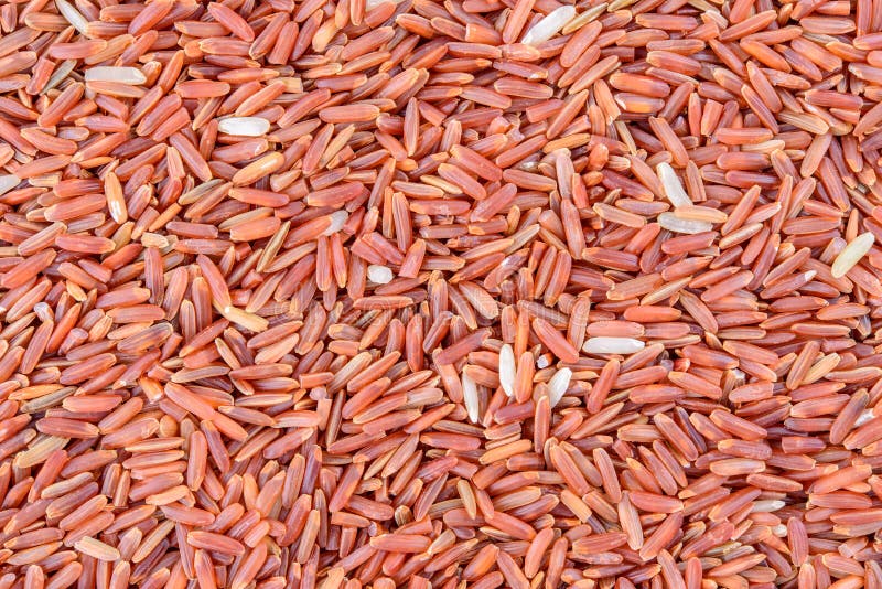 Texture of Red Rice Grain (red Jasmine Rice) Stock Image - Image of ...