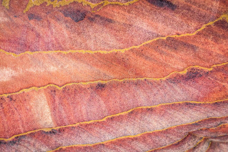 Texture of Red Rock Stone. the Siq Canyon Stock Photo - Image of unesco ...