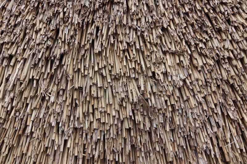 Texture of reed mat. stock photo. Image of vertical, colour - 69249036