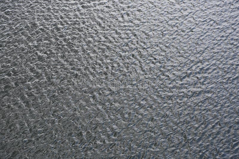 Ripple of River, Lake, Ocean, Sea, Pond, Pool. the Golden, Yellow Color ...