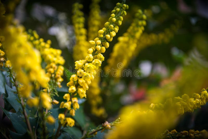 Abstract Elements of Colors and Texture Stock Image - Image of abstract ...