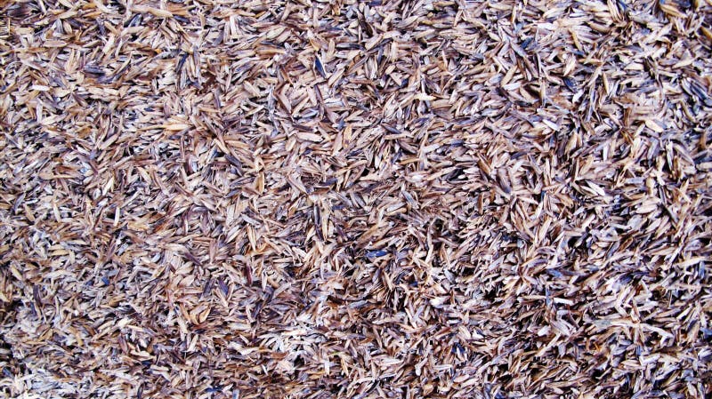 1,415 Rice Husk Texture Stock Photos - Free & Royalty-Free Stock Photos ...