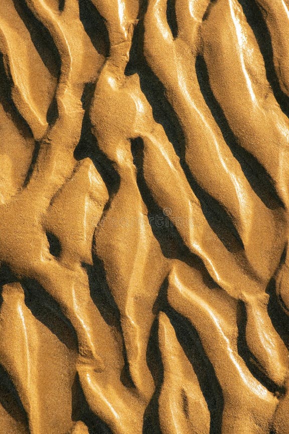 Texture of ridges in sand stock photo. Image of yellow - 269888218