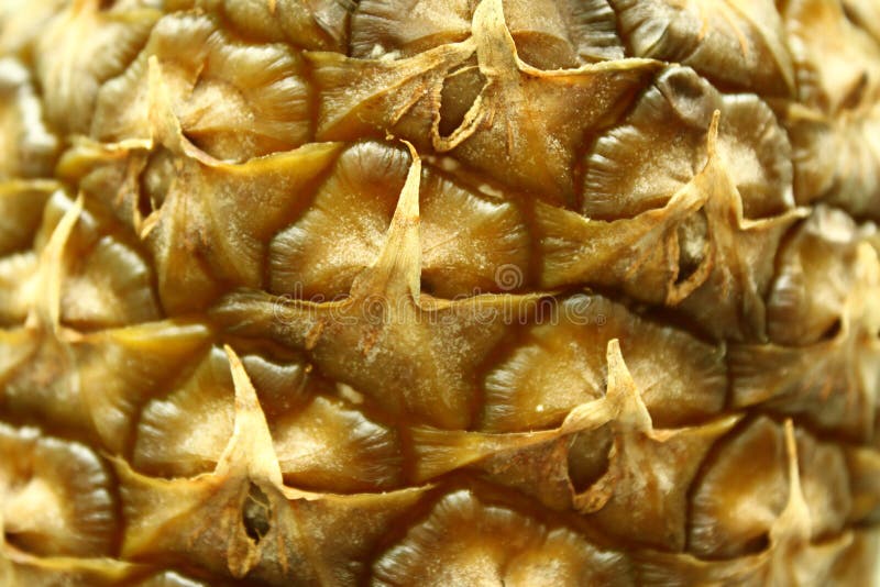 Texture of Ripe Pineapple Peel Stock Image - Image of exotic, healthy ...