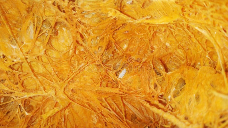 251 Inside Pumpkin Texture Stock Photos - Free & Royalty-Free Stock ...