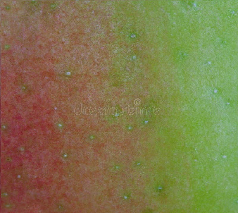 Texture of a red apple stock photo. Image of food, agriculture - 67372740