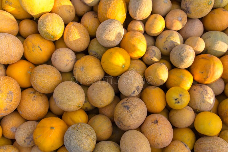 Texture of Ripe Yellow Melon Stock Image - Image of melon, summer ...