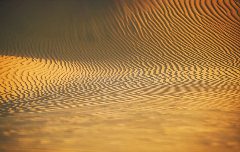 Texture of Ripples in a Sand Dune Stock Photo - Image of sandy, sand ...