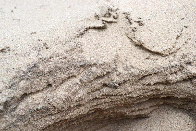Texture of River Sand in Close-up. Background of Sand. Stock Image ...