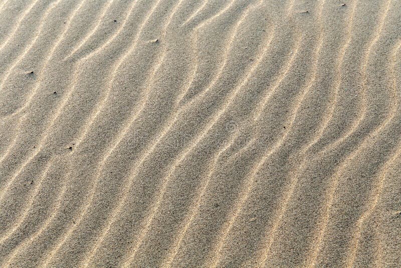 Texture of river sand. stock photo. Image of dune, brown - 102439032
