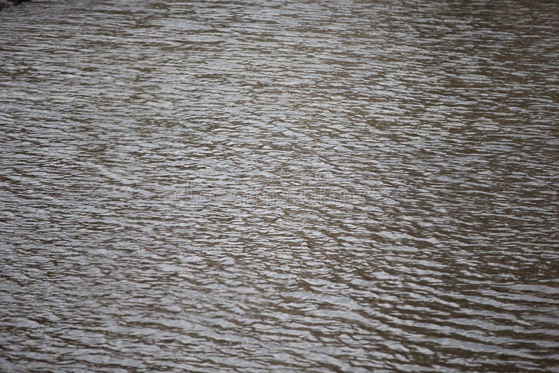 Texture of River Water.Ripples of Water in the Sun Stock Image - Image ...