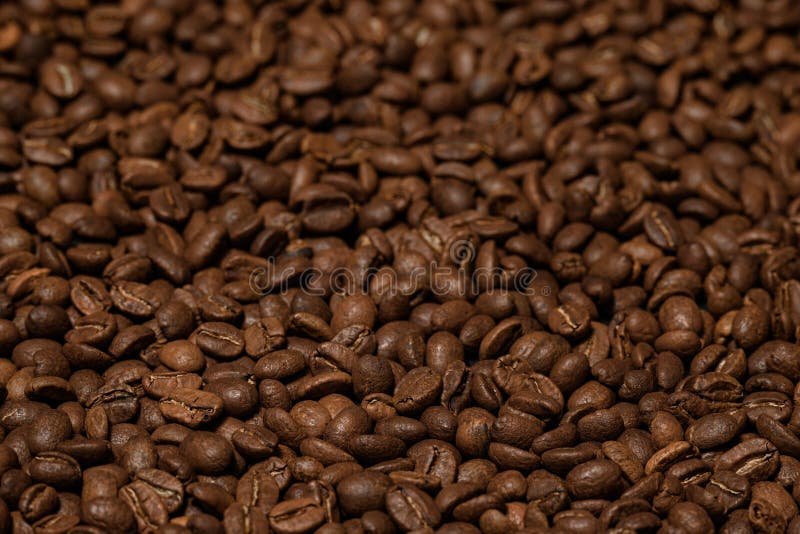 Texture of Roasted Coffee Beans Close-up, Brown Beans. Stock Image ...