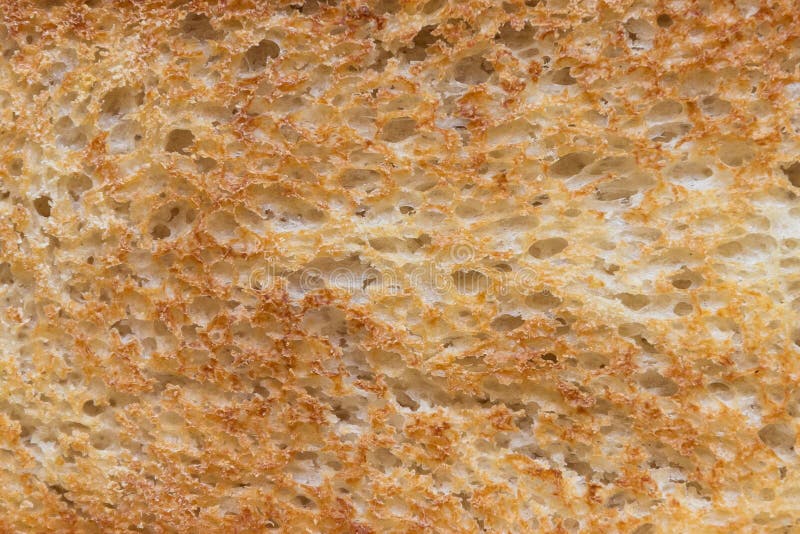 Texture of Roasted Fresh Toasted Bread Toast, Close Up Stock Image ...