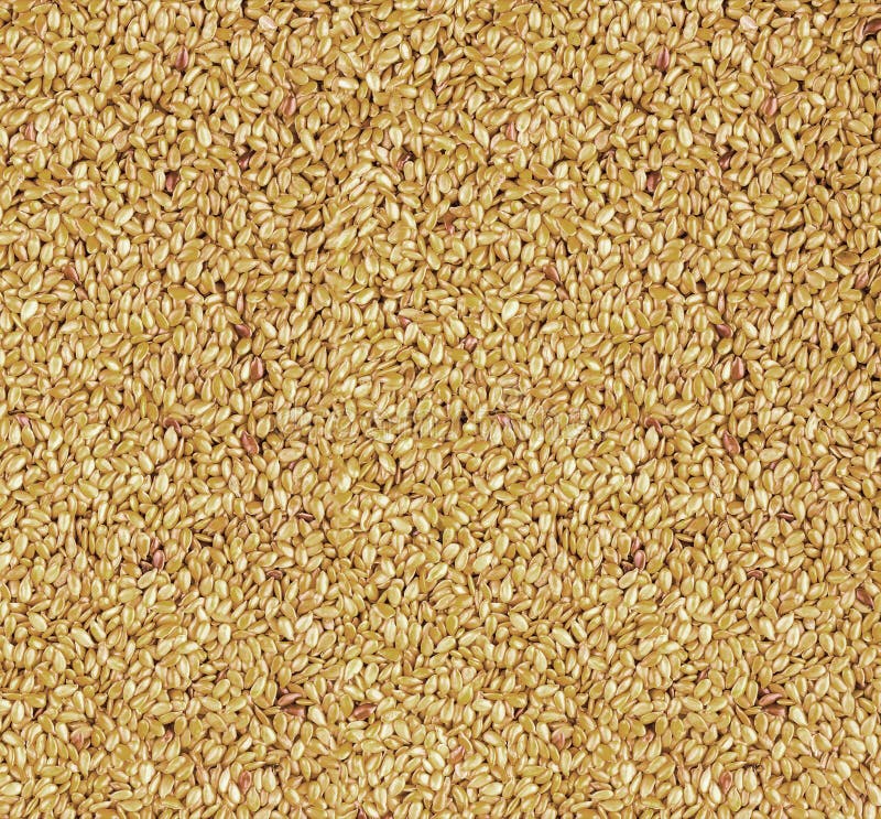 Texture of Roasted Golden Flax Seed or Linseed Stock Photo - Image of ...