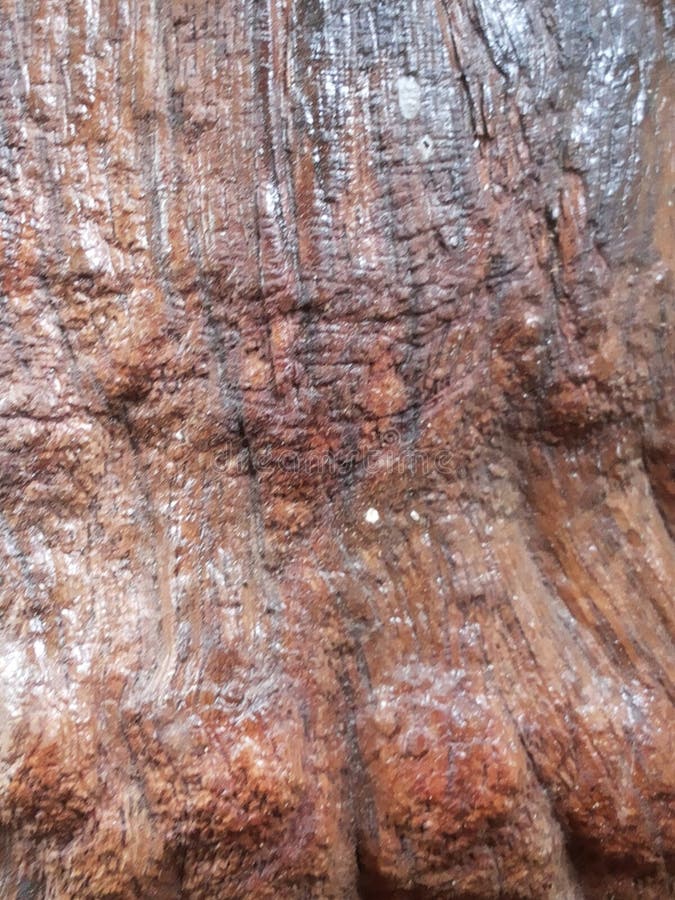 Texture stock photo. Image of texture, ground, rock, back - 43199174