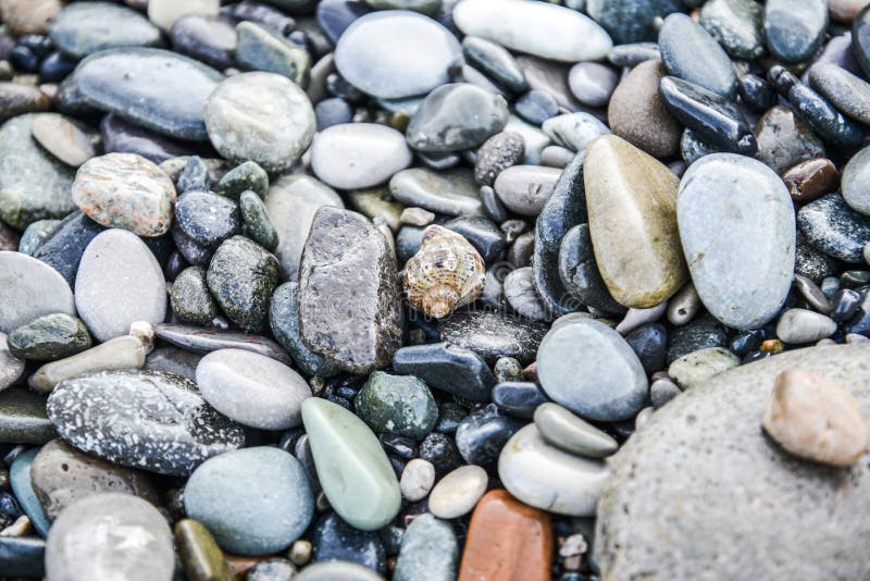 Texture of Rock, Stone on a a Beach. Stock Photo - Image of river ...