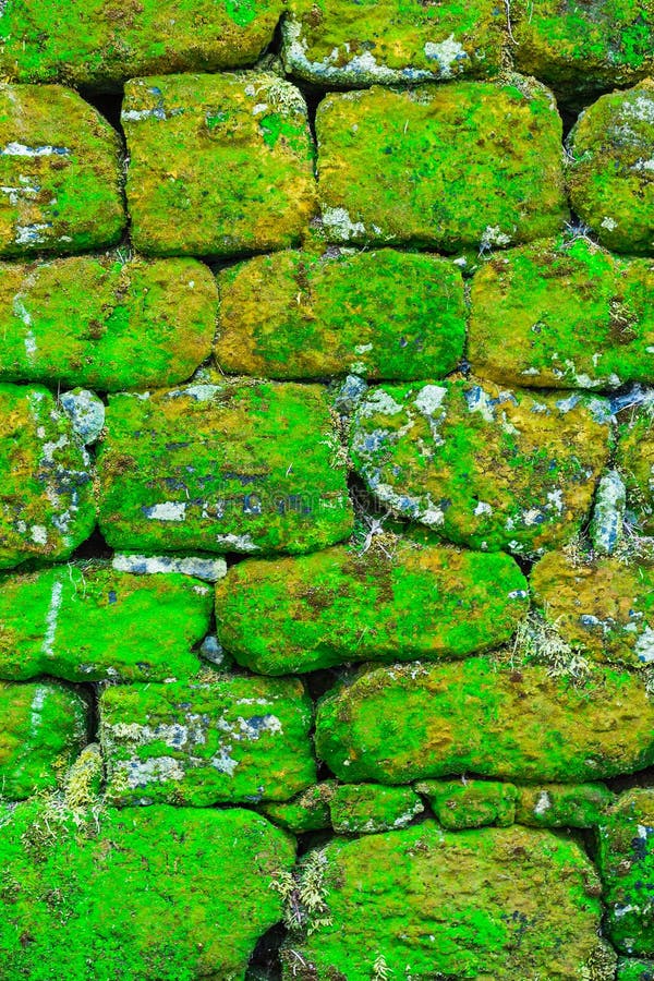 1,247 Texture Rock Wall Overgrown Moss Stock Photos - Free & Royalty ...