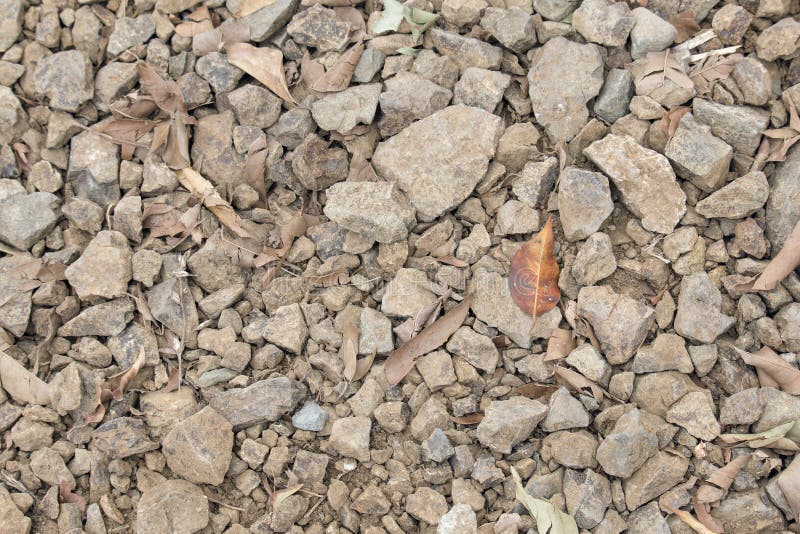 Texture rocks stock photo. Image of stone, ground, texture - 97040000