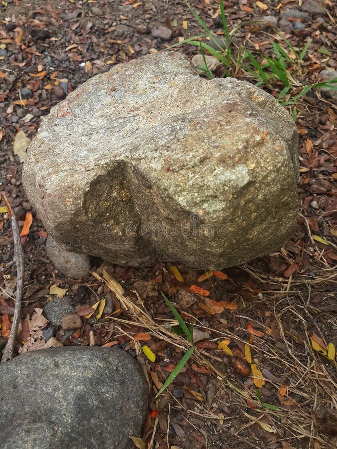 Texture of 2 Rocks Under a Tree by a Public Roadside Stock Image ...