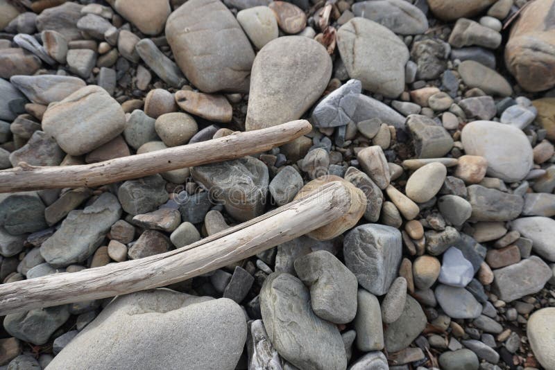 Texture of Rocks and Weathered Branches at the Shore Stock Photo ...