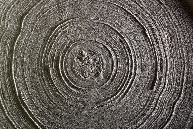 Texture of a Roll of Single-layer Toilet Paper. Stock Image - Image of ...