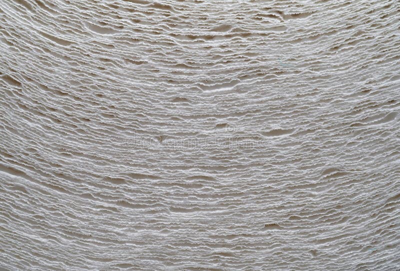 Texture of the Roll of White Paper. Paper Texture. Stock Photo - Image ...