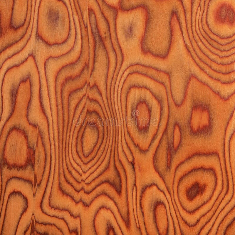 Texture of Root Oak, Wood Texture Stock Photo - Image of detail, design ...