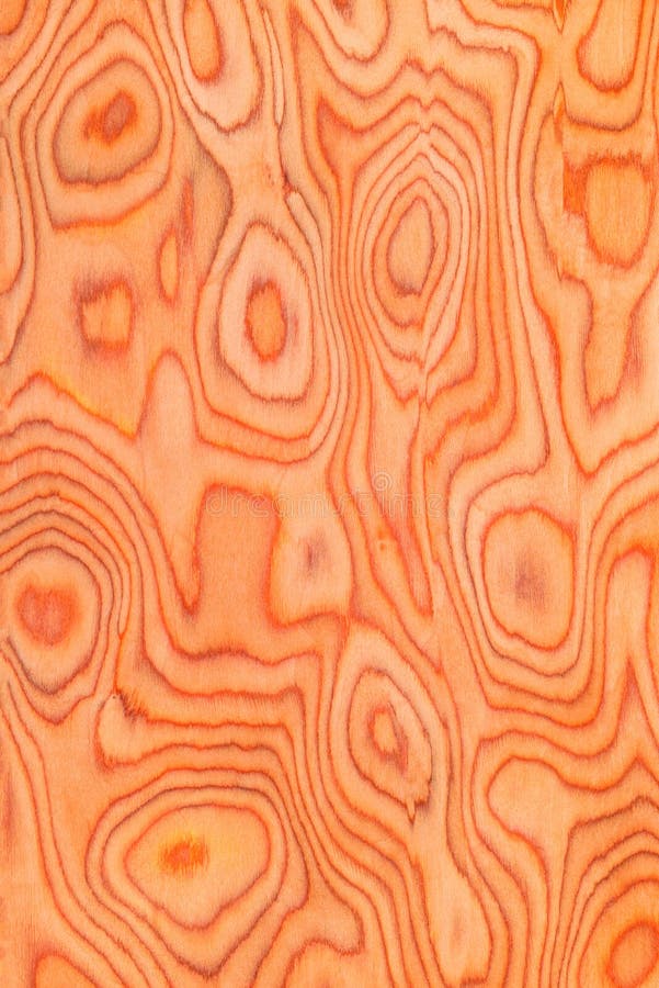 Texture of Root Oak, Wood Texture Stock Photo - Image of detail, design ...