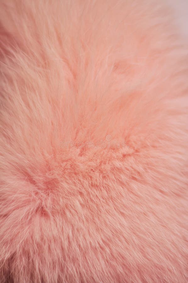 Texture rose de fourrure photo stock. Image du décoration - 22384626