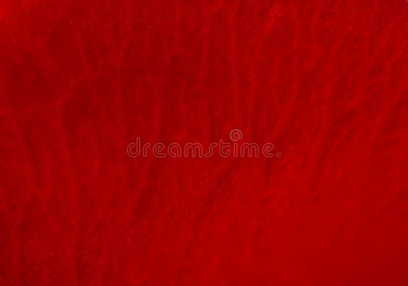Texture rose petal stock photo. Image of aroma, fragrant - 30928924